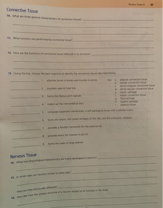 Solved Review Sheet 6 85 Connective Tissue 10. What are | Chegg.com