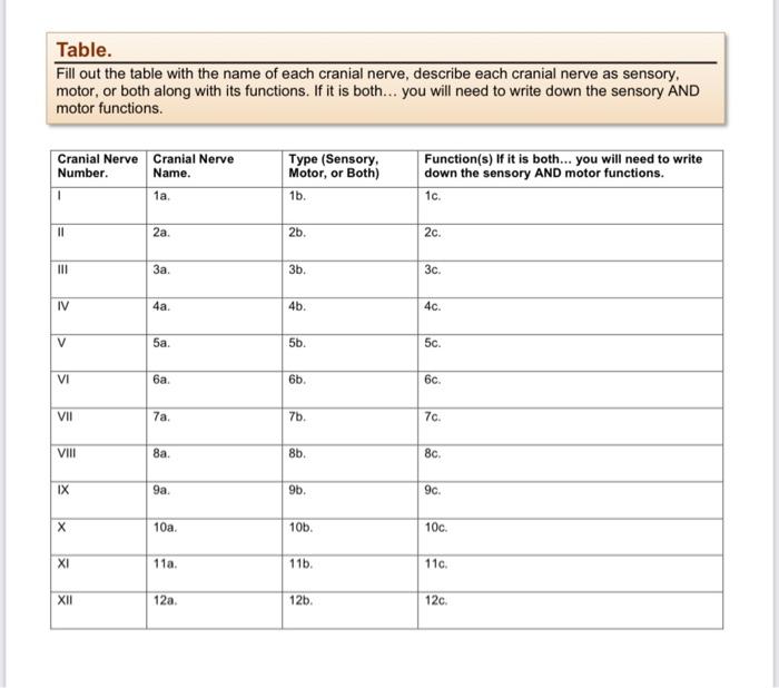 Solved Fill out the table with the name of each cranial | Chegg.com