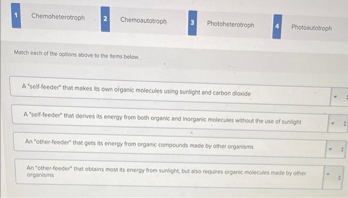 Solved Chemoheterotroph N 2 Chemoautotroph 3 | Chegg.com