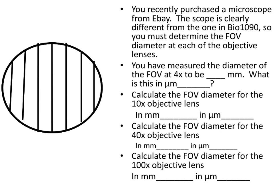 Solved You recently purchased a microscope from Ebay. The | Chegg.com
