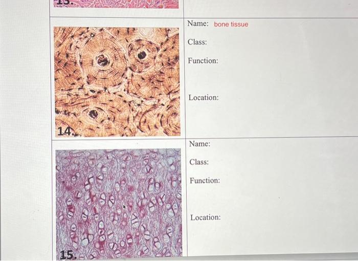 help me with 14 and 15 please! | Chegg.com