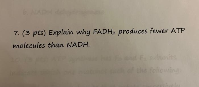 Solved 7. (3 pts) Explain why FADH2 produces fewer ATP | Chegg.com Solved 7. (3 pts) Explain why FADH2 produces fewer ATP | Chegg.com