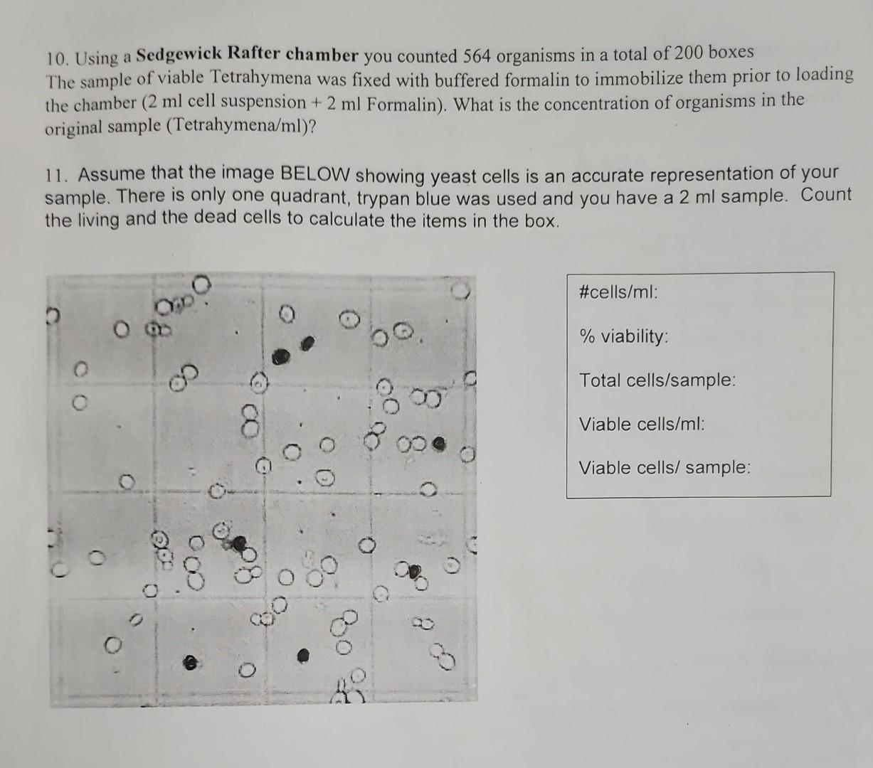 10. Using a Sedgewick Rafter chamber you counted 564 | Chegg.com