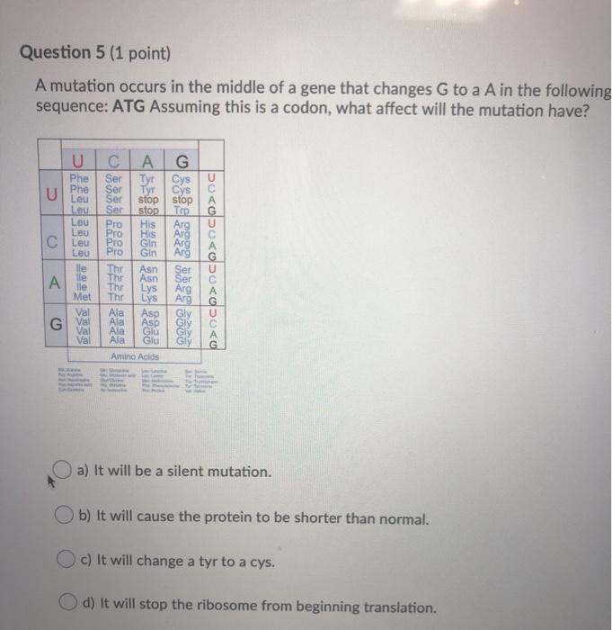 Solved Question 2 (1 point) The stop codon signals RNA | Chegg.com