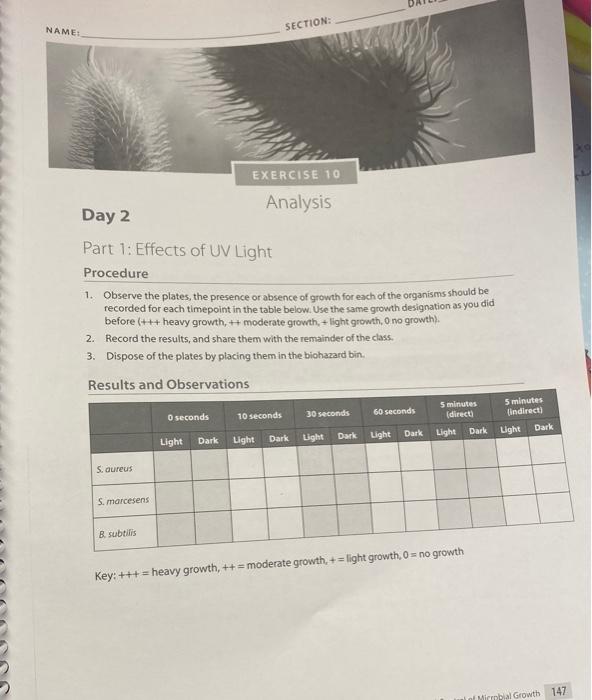 Solved NAME: SECTION: EXERCISE 10 Analysis Day 2 Part 1: | Chegg.com
