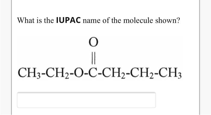 Solved What is the IUPAC name of the compound shown? CH3 | Chegg.com
