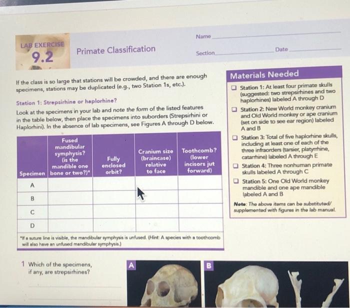 LAB EXERCISE 9.2 Primate Classification If the class | Chegg.com
