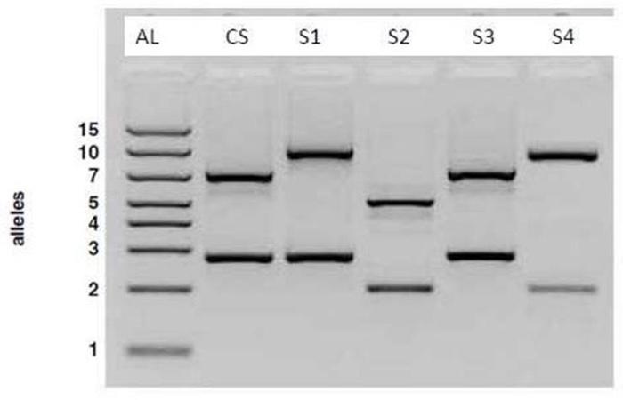 Solved For a final comparison, to confirm the results from | Chegg.com