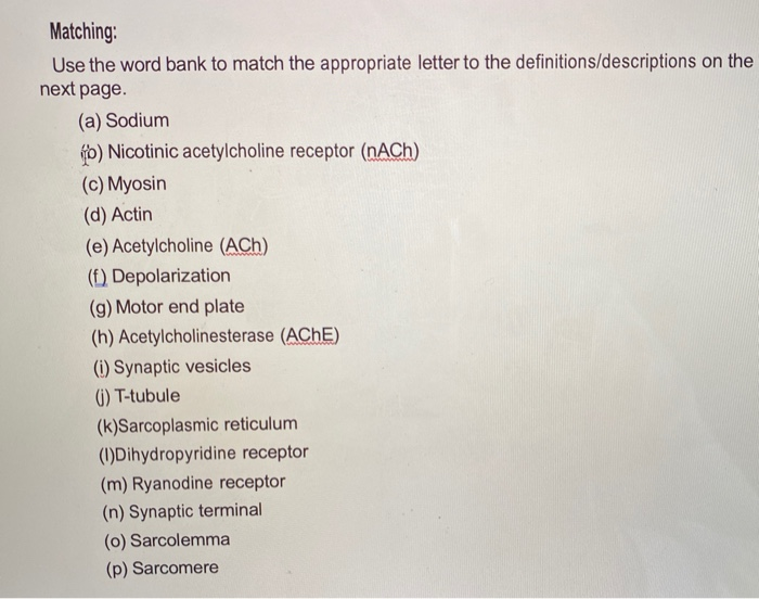 Solved Matching: Use the word bank to match the appropriate | Chegg.com