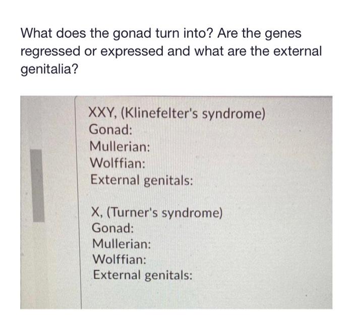 Solved What does the gonad turn into? Are the genes | Chegg.com