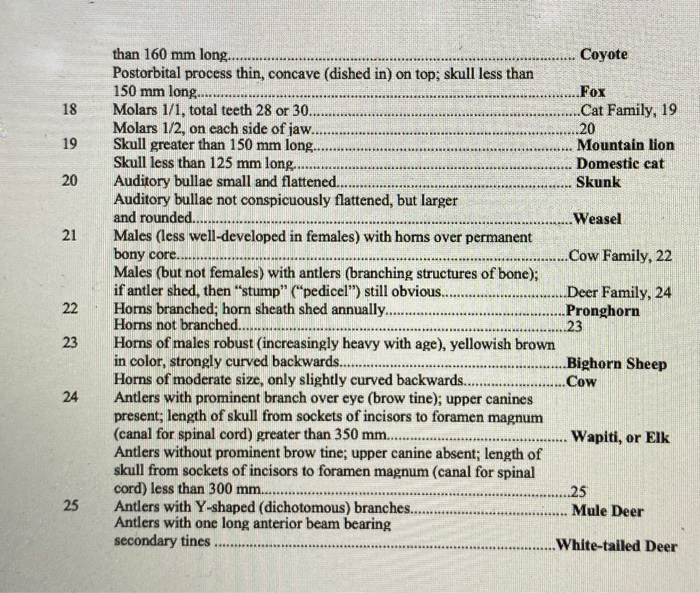 1 Dichotomous Key Check teeth all about the same | Chegg.com