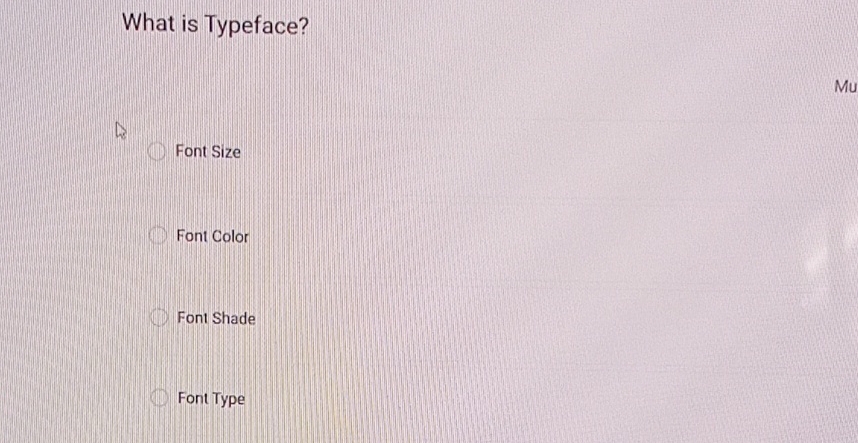 Solved What is Typeface?Font SizeFont ColorFont ShadeFont | Chegg.com