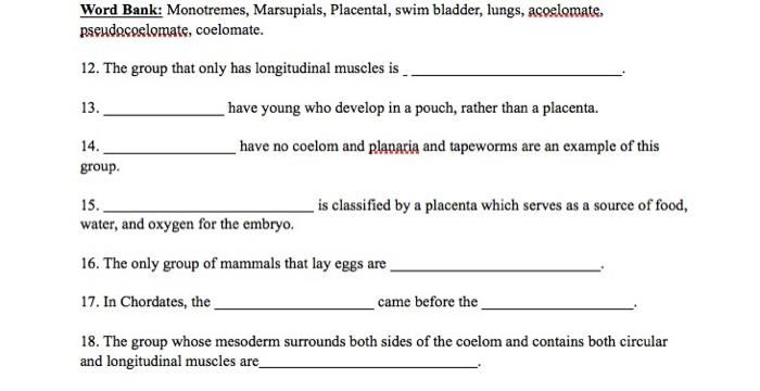 Solved Word Bank: Monotremes, Marsupials, Placental, swim | Chegg.com