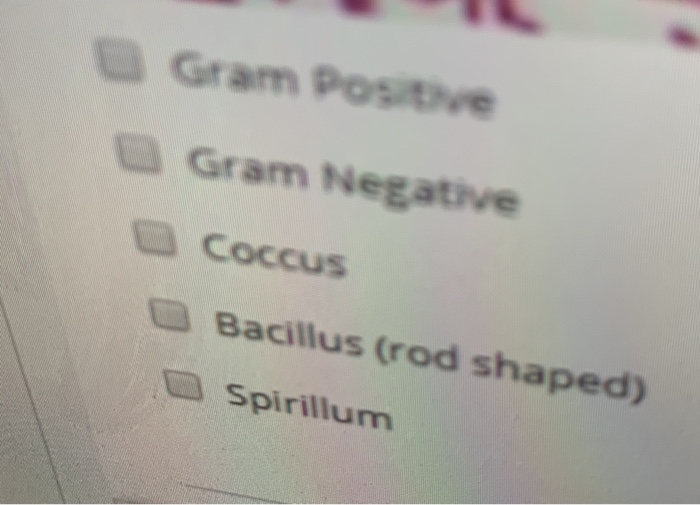 Solved Gram Positive Gram Negative Coccus Bacillus (rod | Chegg.com