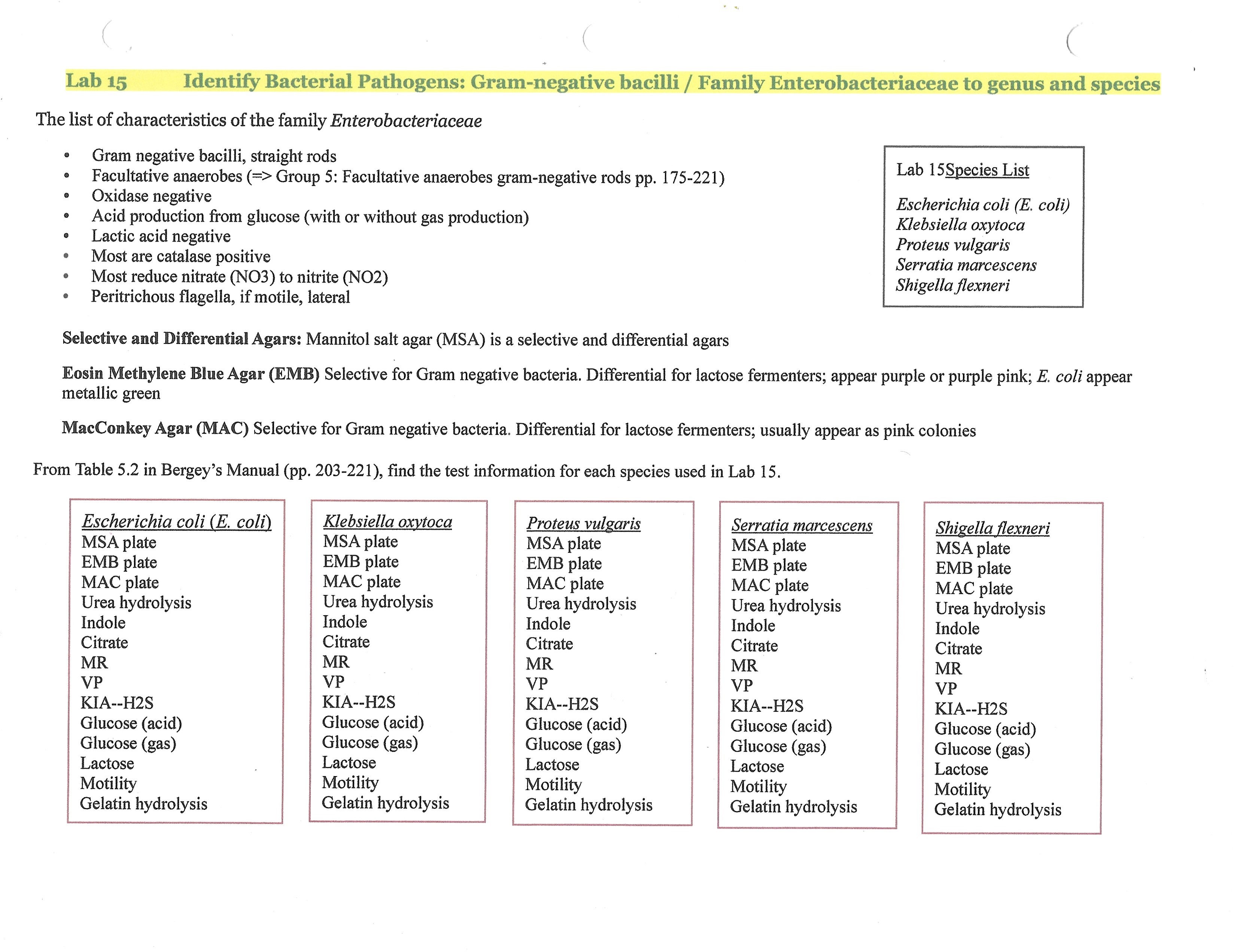 Solved Lab 15 ﻿Identify Bacterial Pathogens: Gram-negative | Chegg.com