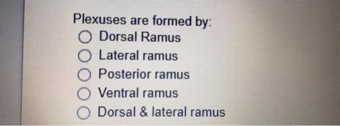Solved Plexuses are formed by: Dorsal Ramus Lateral ramus | Chegg.com