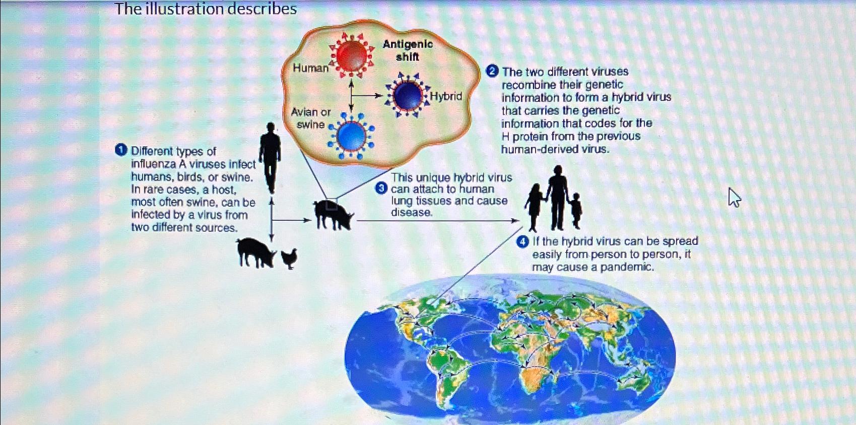 Solved The illustration describes(1) ﻿Different types of | Chegg.com