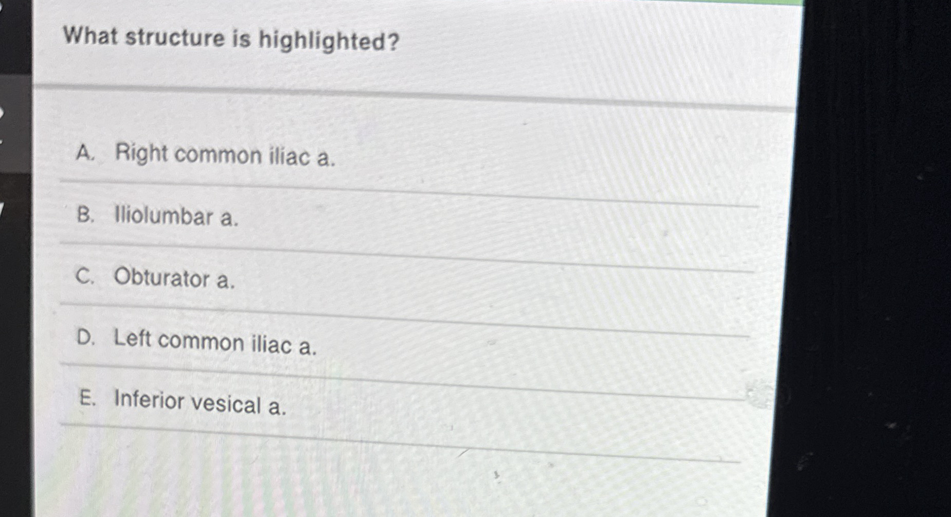Solved What structure is highlighted?A. ﻿Right common iliac | Chegg.com