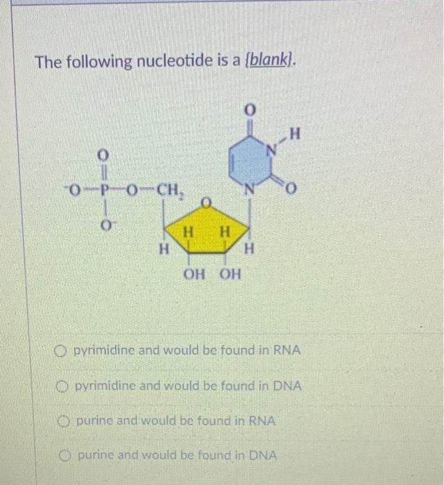 Solved The nucleotides in the backbone of DNA are held | Chegg.com