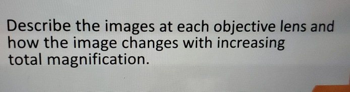 Solved Describe the images at each objective lens and how | Chegg.com