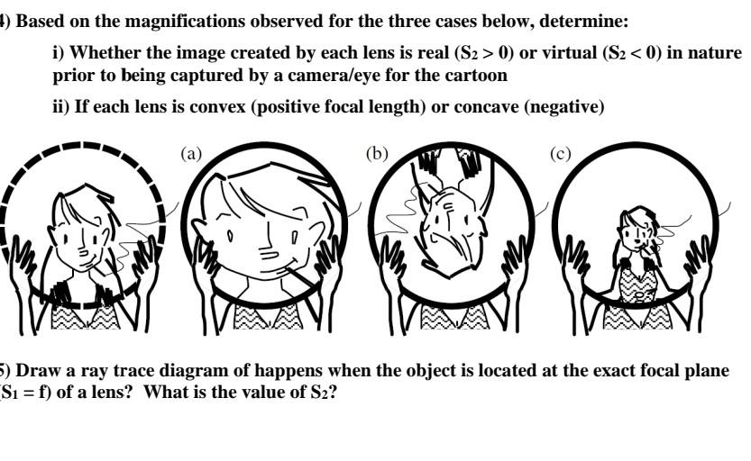 Solved ) Based on the magnifications observed for the three | Chegg.com