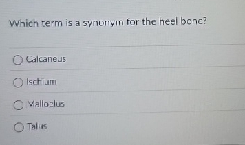 Solved Which term is a synonym for the heel | Chegg.com