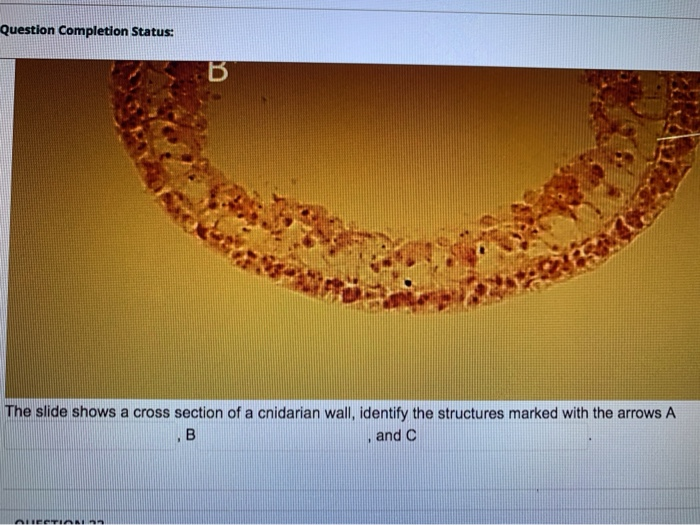 Solved Save and to me and submit. Click Save All Answers to | Chegg.com