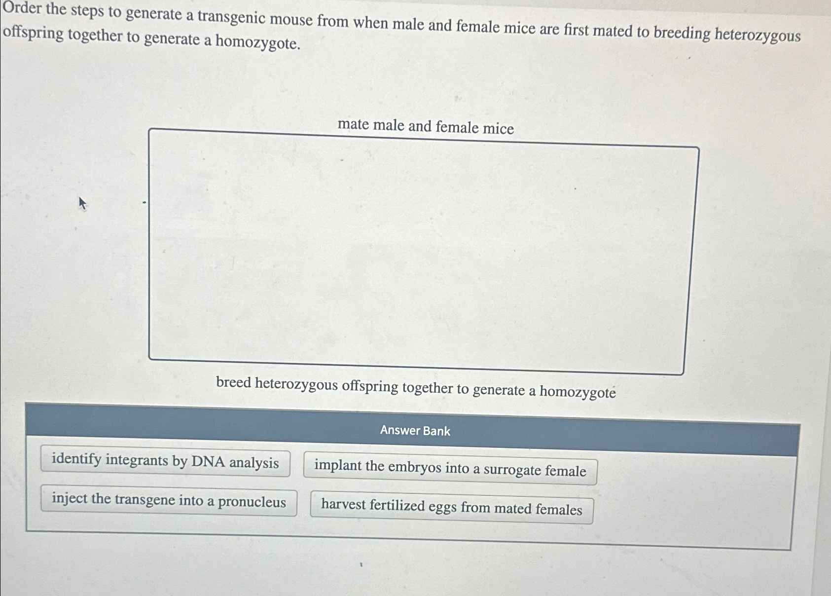 Solved Order the steps to generate a transgenic mouse from | Chegg.com