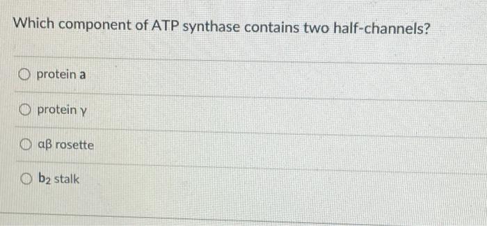 Solved Which component of ATP synthase contains two | Chegg.com