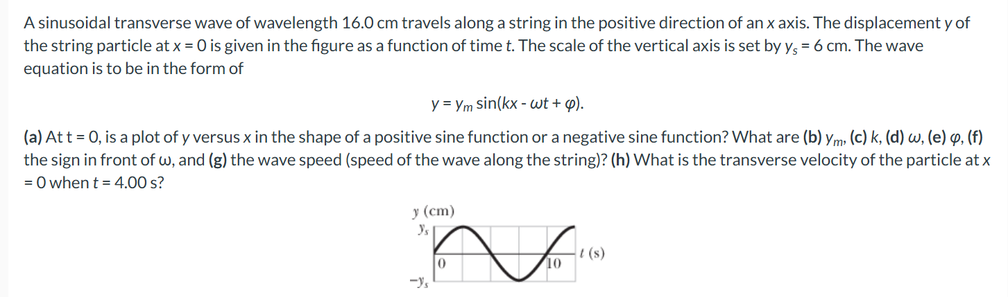 Solved A sinusoidal transverse wave of ﻿wavelength 16.0 cm | Chegg.com