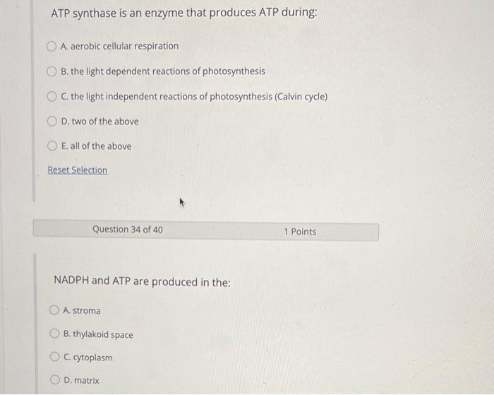 Solved ATP synthase is an enzyme that produces ATP during: | Chegg.com