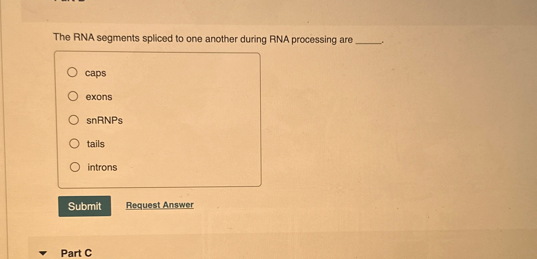 Solved The RNA segments spliced to one another during RNA | Chegg.com