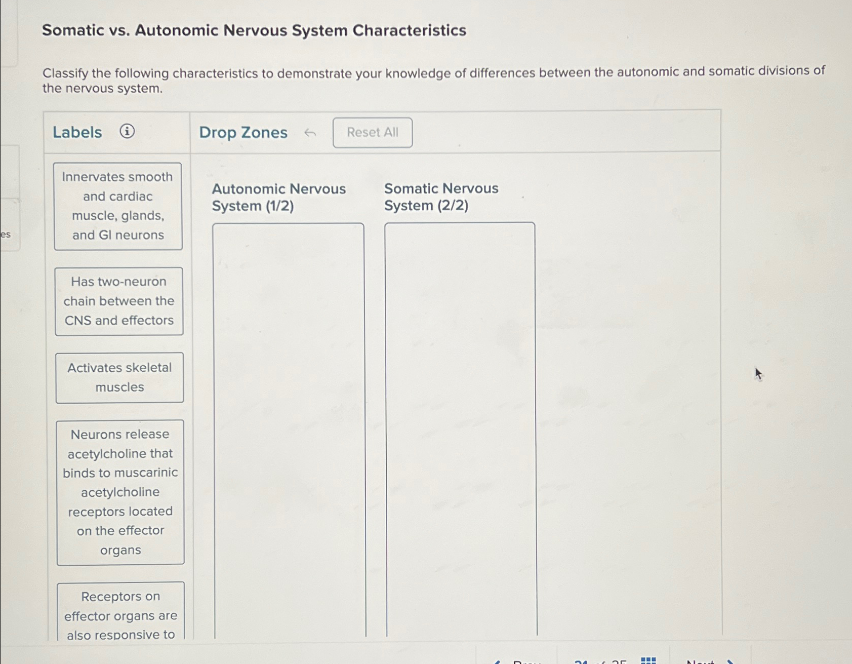 Solved Somatic vs. ﻿Autonomic Nervous System | Chegg.com