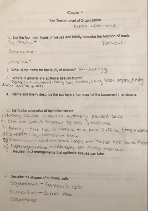 Solved Chapter 4 The Tissue Level of Organization lumen- | Chegg.com