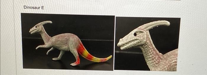 Solved make a dichotomous key for the following dinosaurs: | Chegg.com