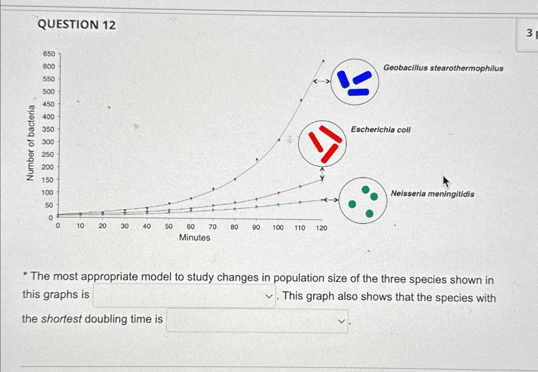 Solved QUESTION 12The most appropriate model to study | Chegg.com