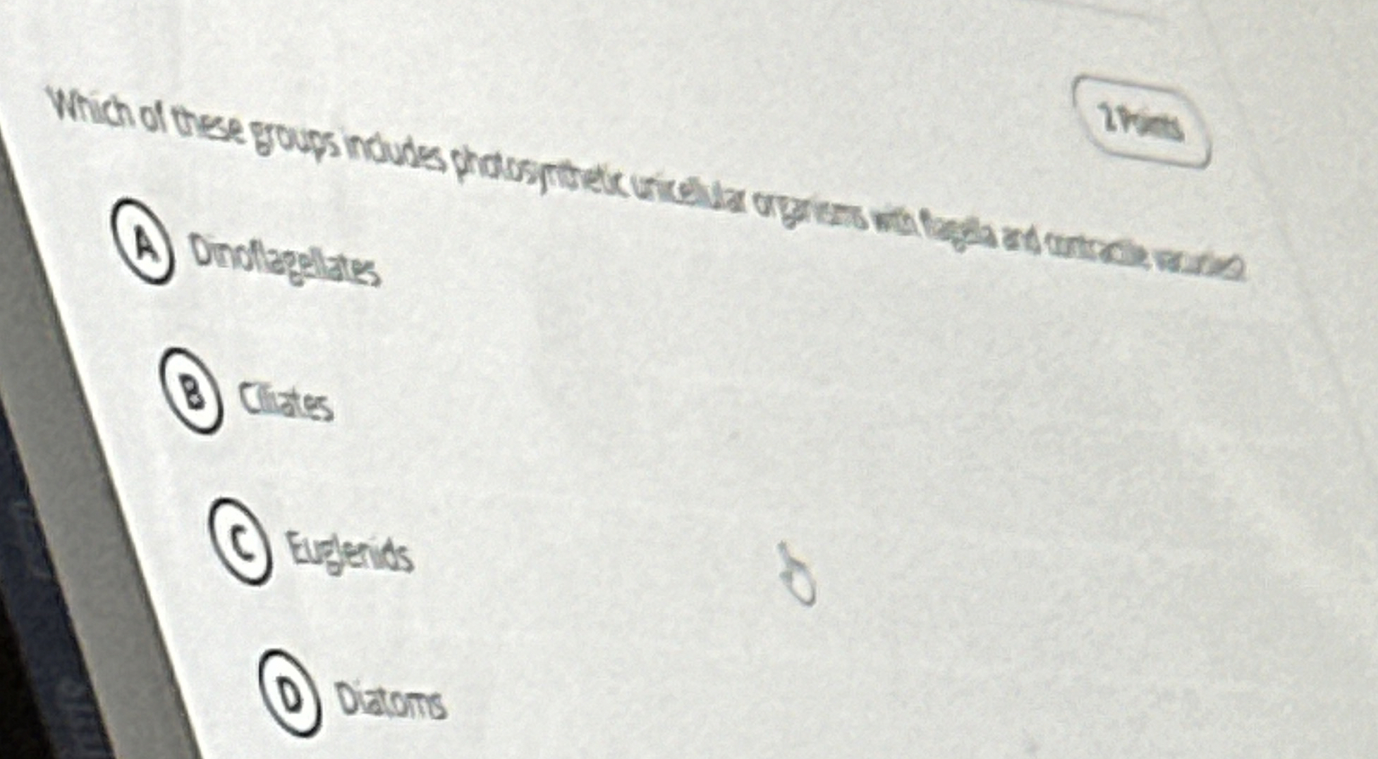 Solved Fungi interact with many organisms in multuative ways | Chegg.com