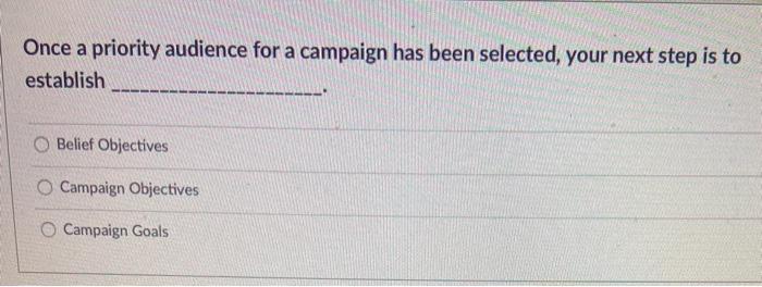 Solved Once a priority audience for a campaign has been | Chegg.com