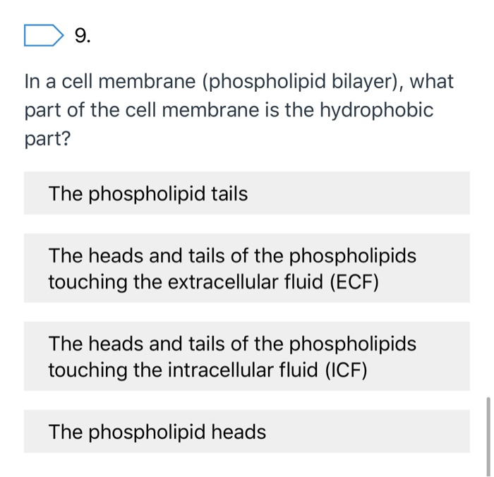 Solved D 9. In a cell membrane (phospholipid bilayer), what | Chegg.com