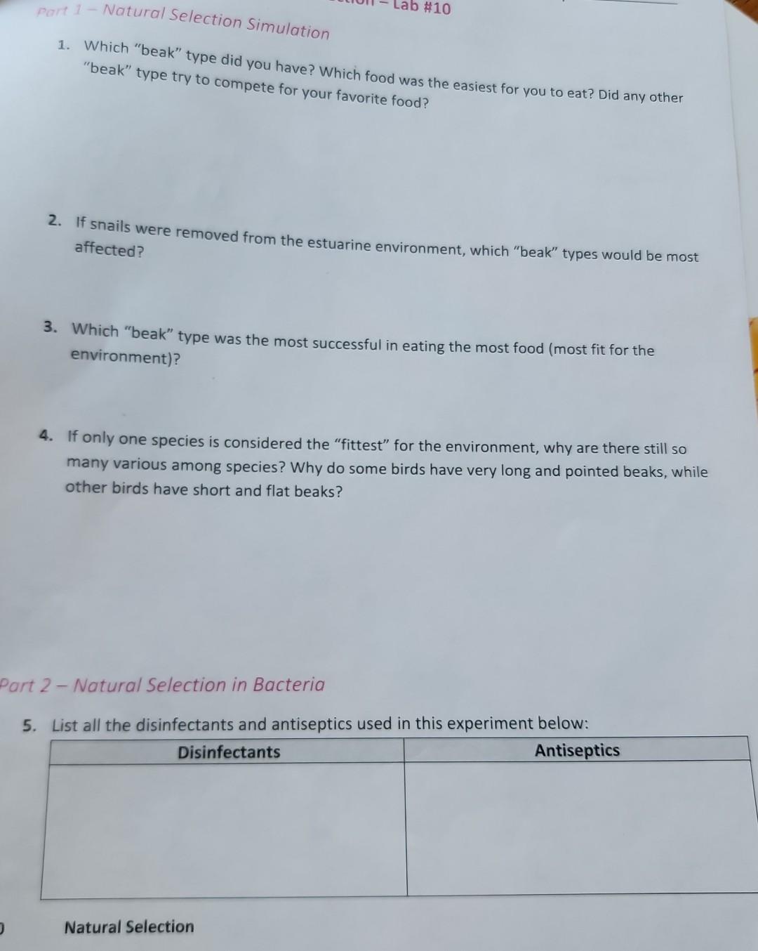 Solved Part 1 - Natural Selection Simulation 1. Which "beak" | Chegg.com