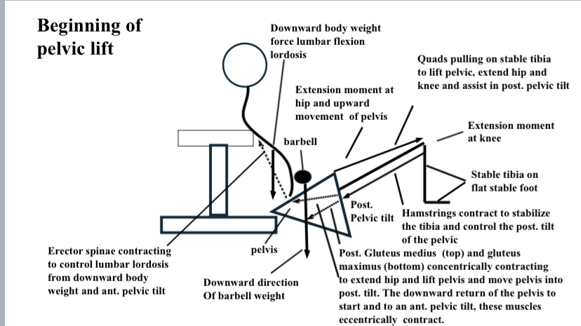 Solved Can you elaborate the notes written below from the | Chegg.com