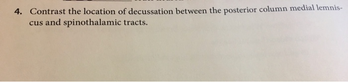 Solved 4. Contrast the location of decussation between the | Chegg.com