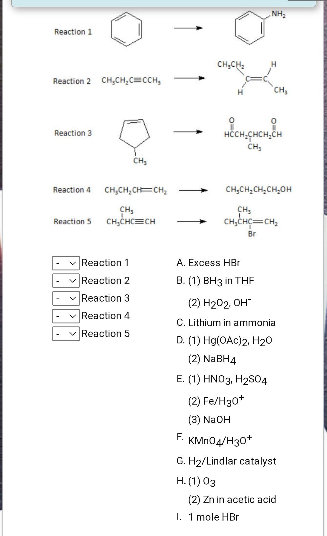 Solved NH2 Reaction 1 CH3CH2 H Reaction 2 CH2CH,C=CCH, CH3 | Chegg.com