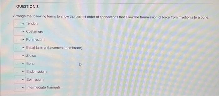 Solved Arrange the following terms to show the correct order | Chegg.com