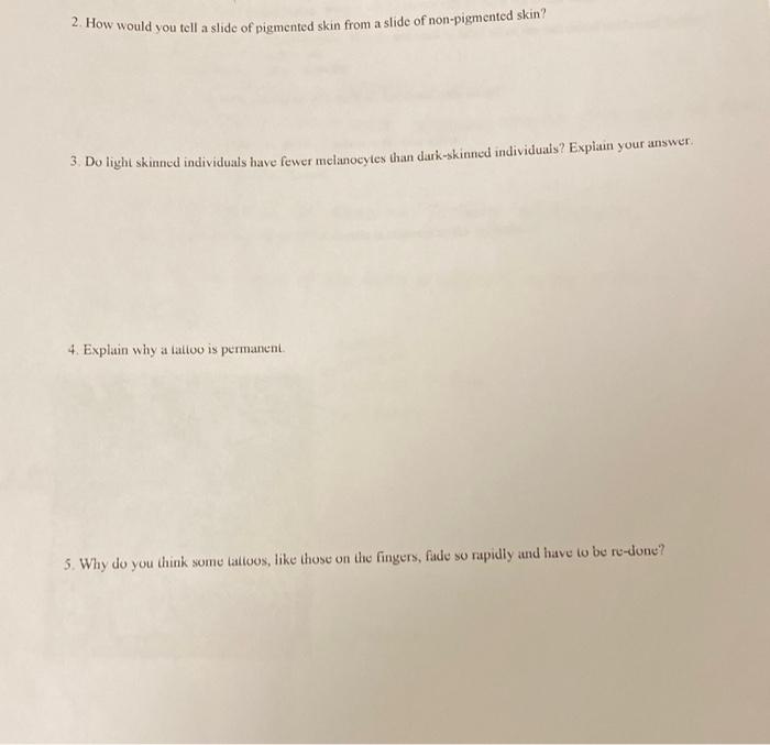 Solved 2. How would you tell a slide of pigmented skin from | Chegg.com