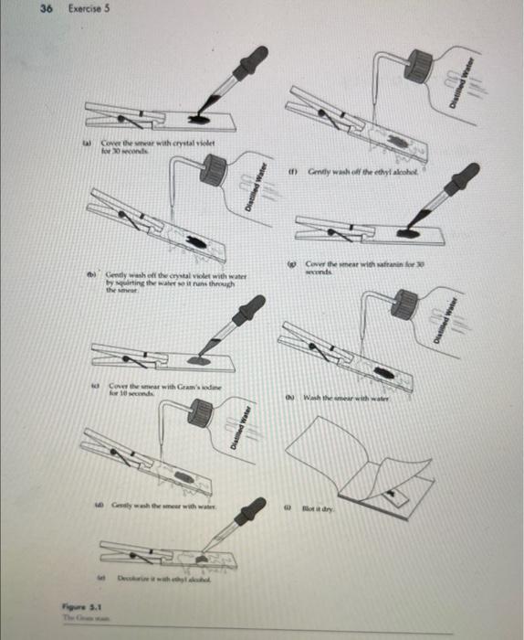 Solved Introduction: Connecting Your Learning Lab 3 | Chegg.com