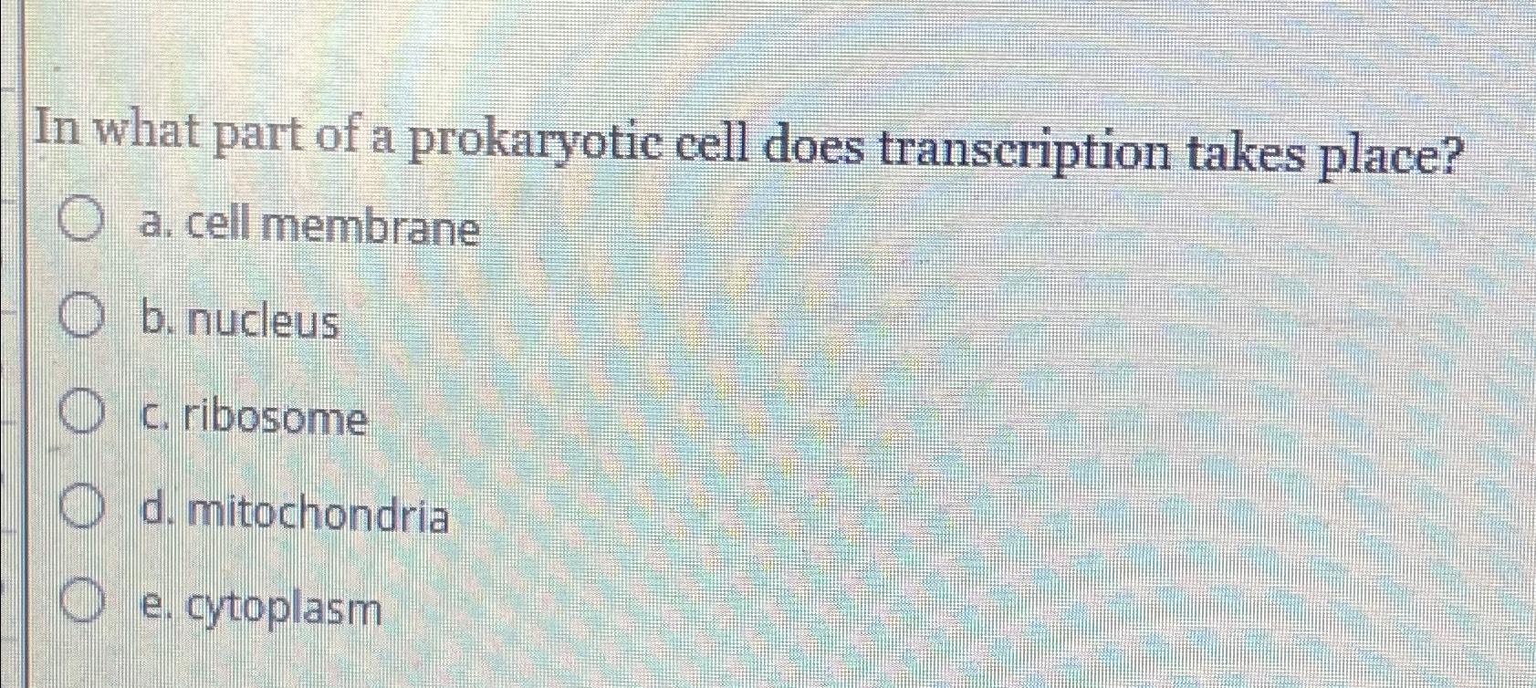 Solved In what part of a prokaryotic cell does transcription | Chegg.com