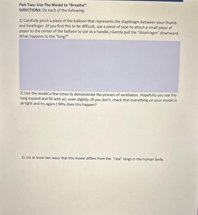 Solved Part Two: Use The Model to "Breathe" DIRECTIONS: Do | Chegg.com