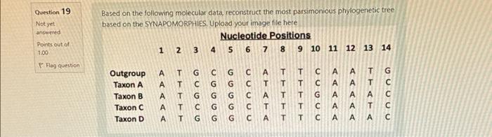 Solved Based on the following molecular data, reconstruct | Chegg.com