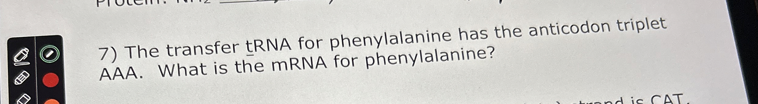 Solved The Transfer Trna For Phenylalanine Has The Anticodon
